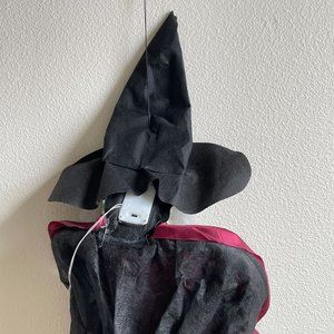 Sunstar Industries | Holiday | Sunstar Industries Halloween Witch Eyes ...